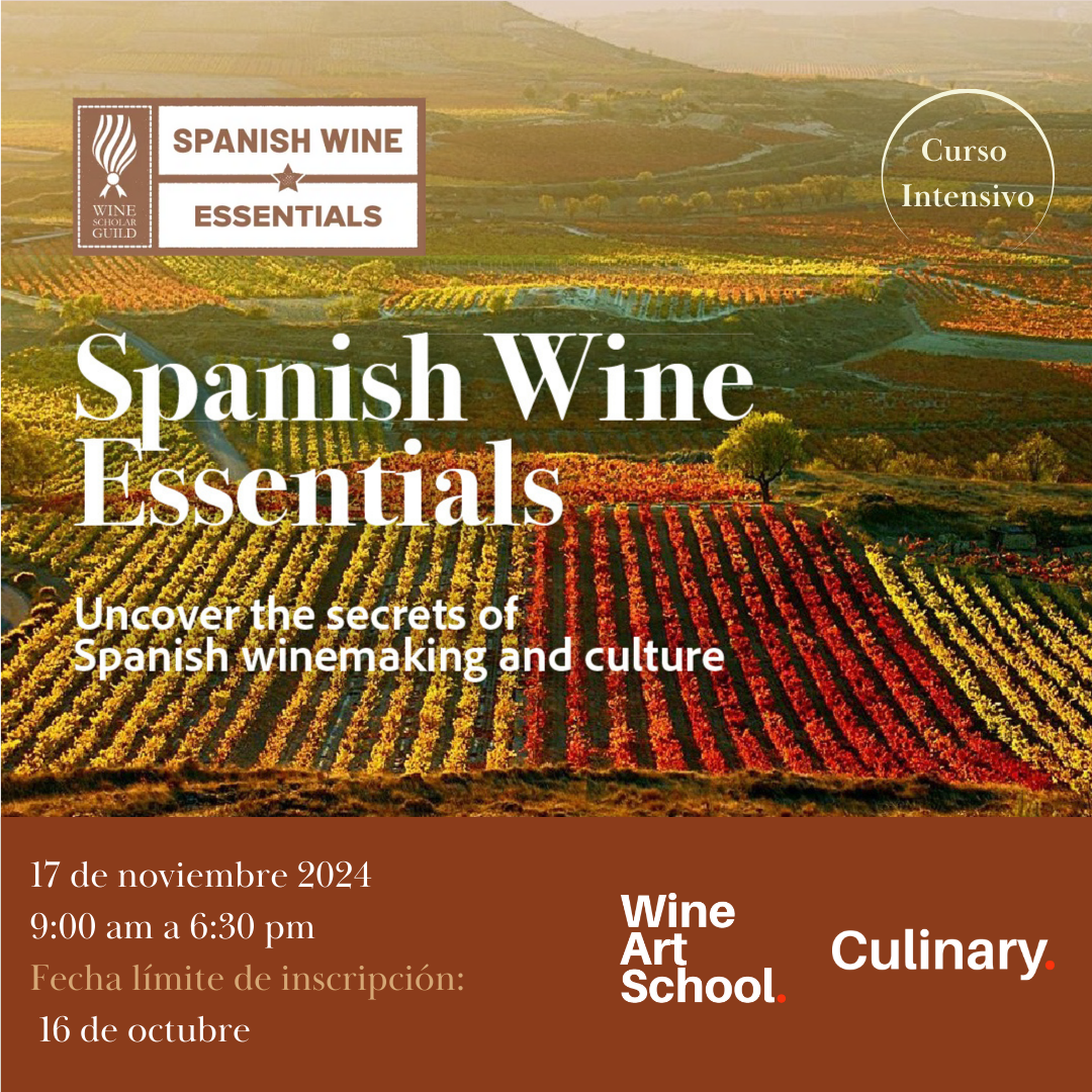 Spanish Wine Essentials – Culinary Art School