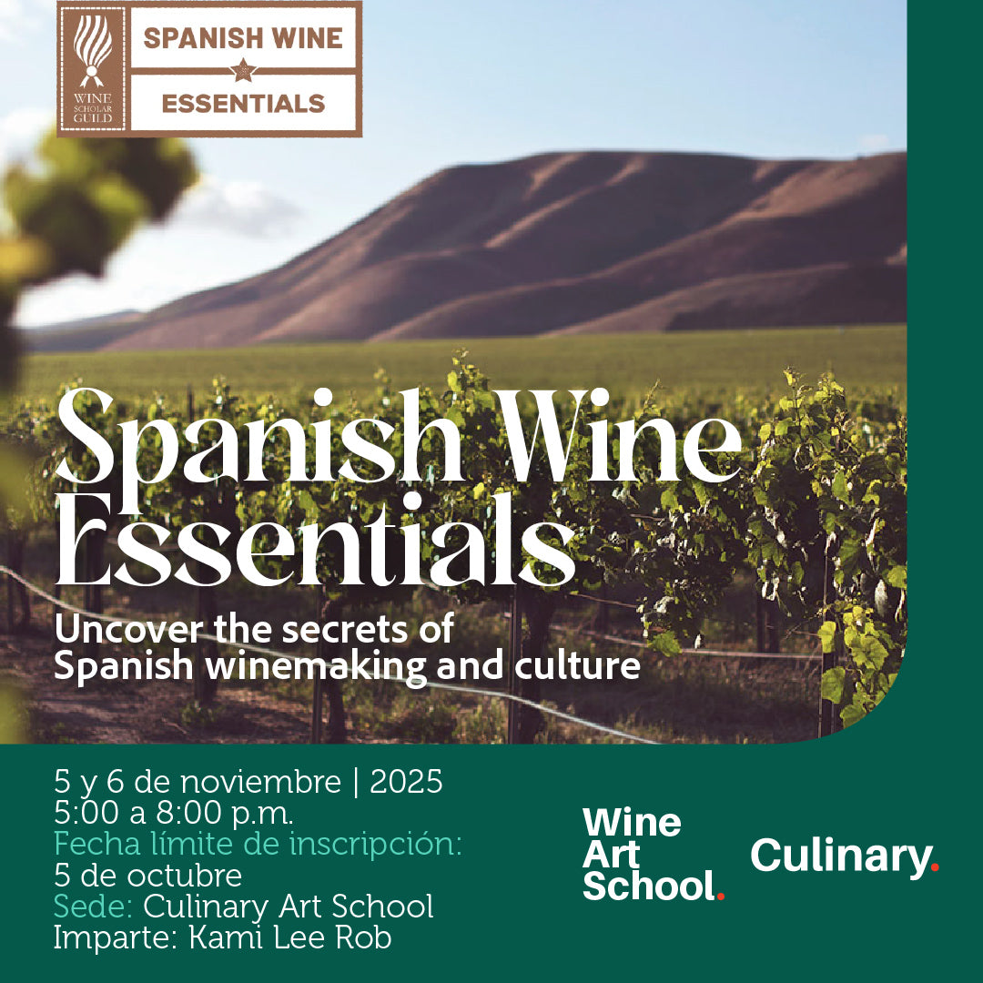 Spanish Wine Essentials – Culinary Art School