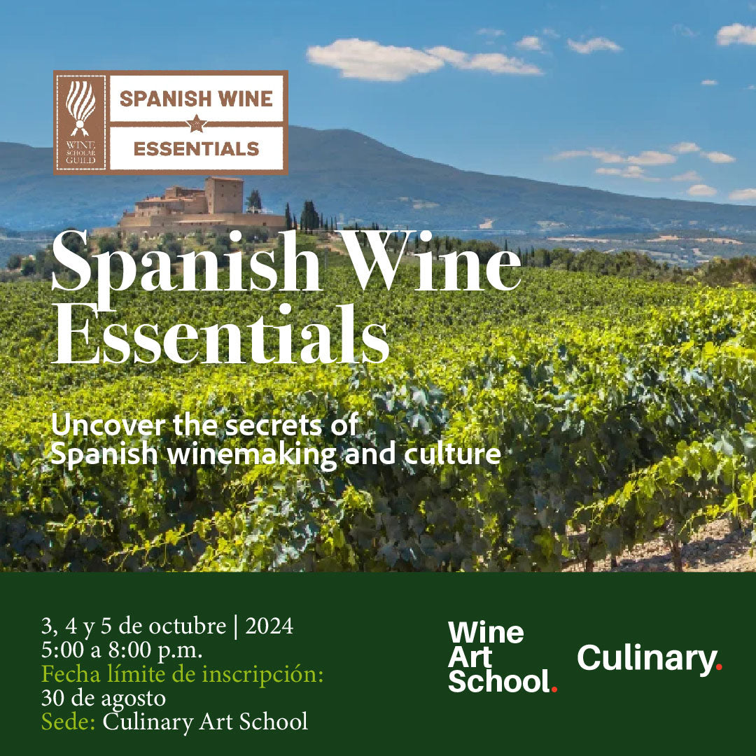 Spanish Wine Essentials – Culinary Art School
